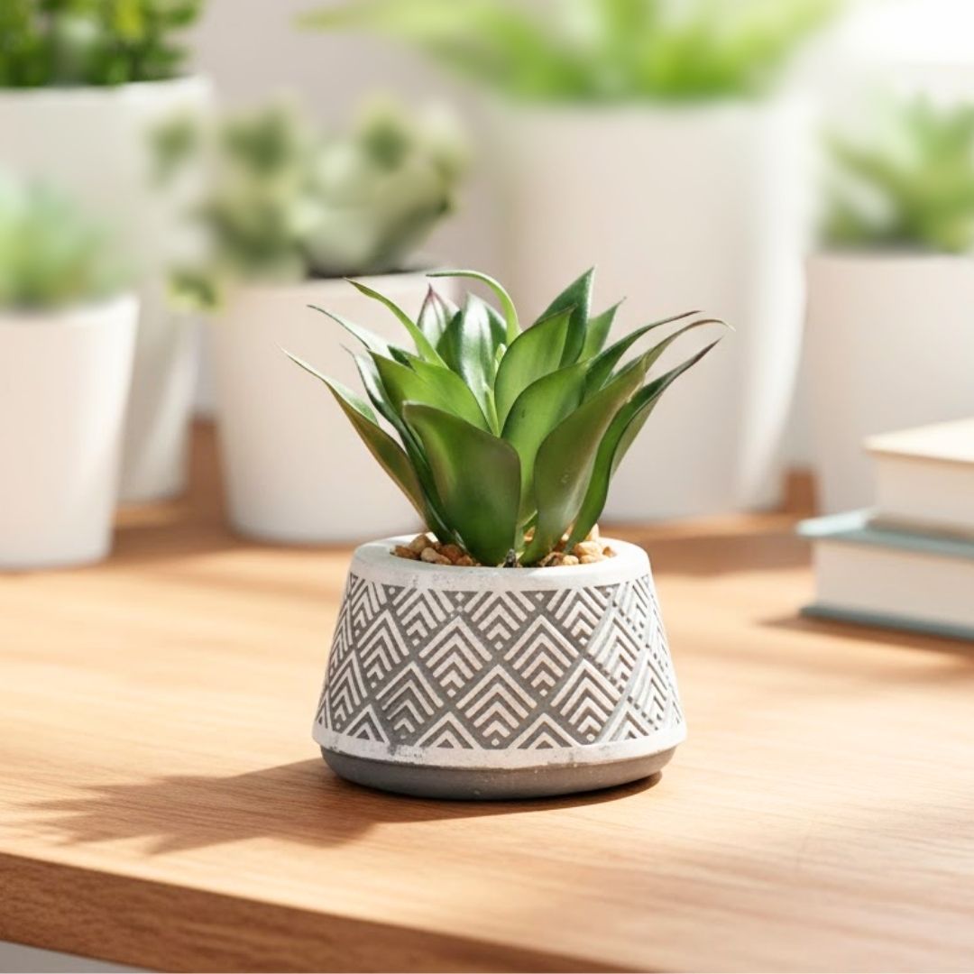 Mini Agave Artificial Green Indoor Succulent Plant with Aesthetic Cera ...